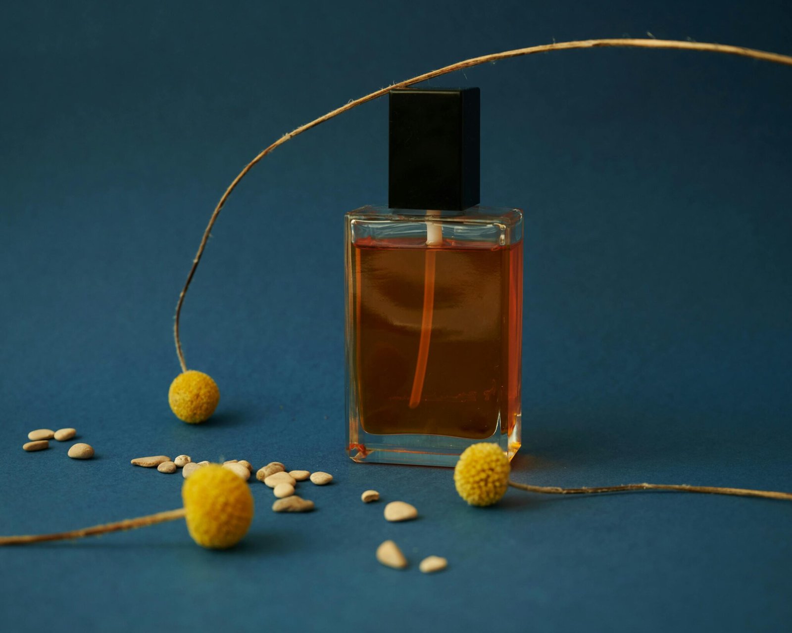 Understanding Top, Middle, and Base Notes in Perfumes: Complete Guide ...