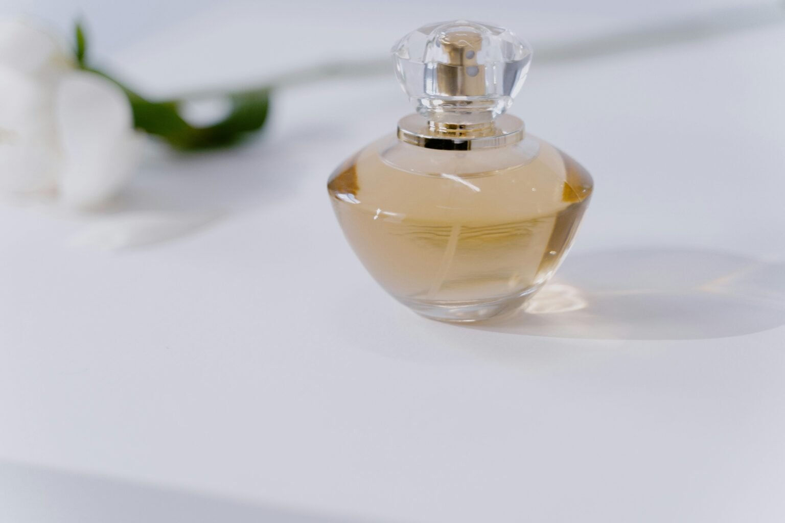 Affordable Niche Perfumes That Smell Luxurious: Hidden Gems You Need to ...